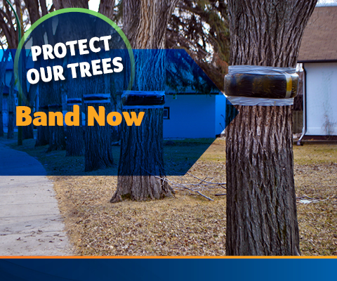 City of Regina | Fire & Protective Services