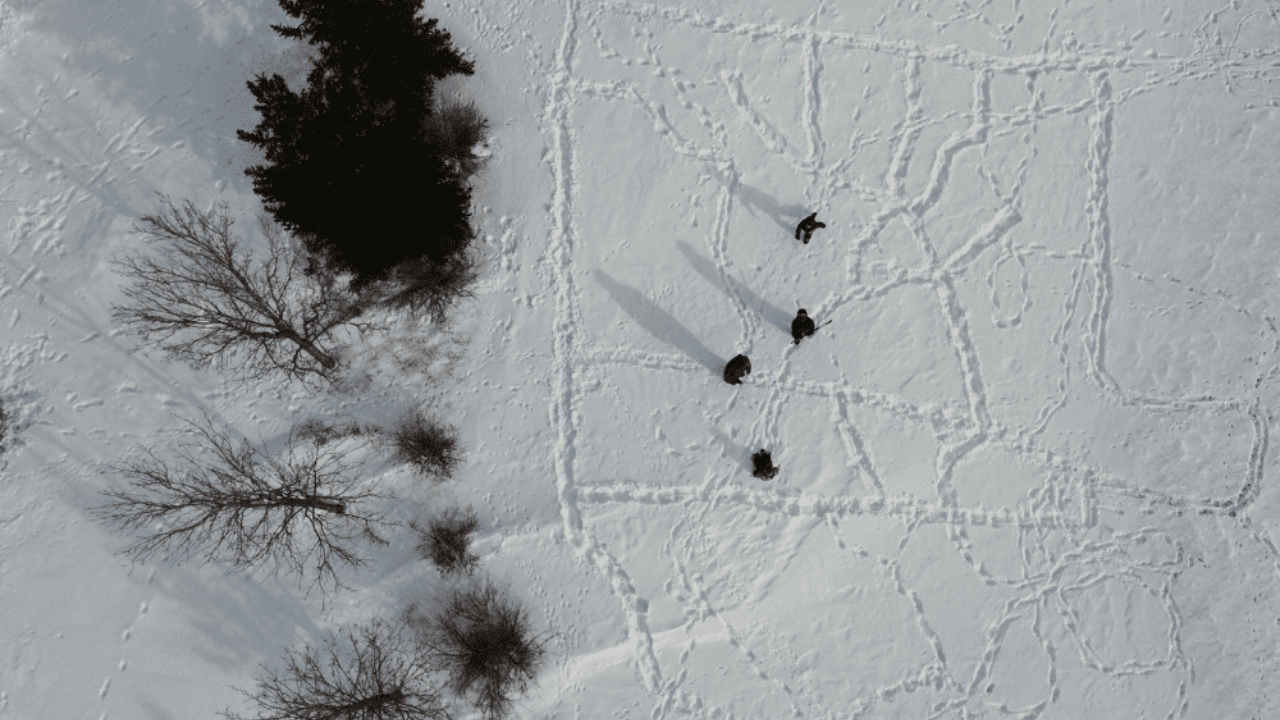 City of Regina | Winter Activities